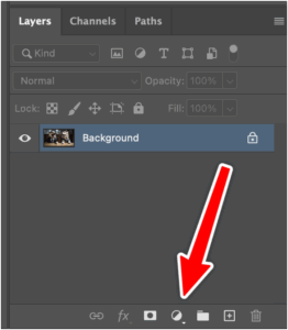 How to Apply Duotone to an Image in Photoshop – TCB Studio
